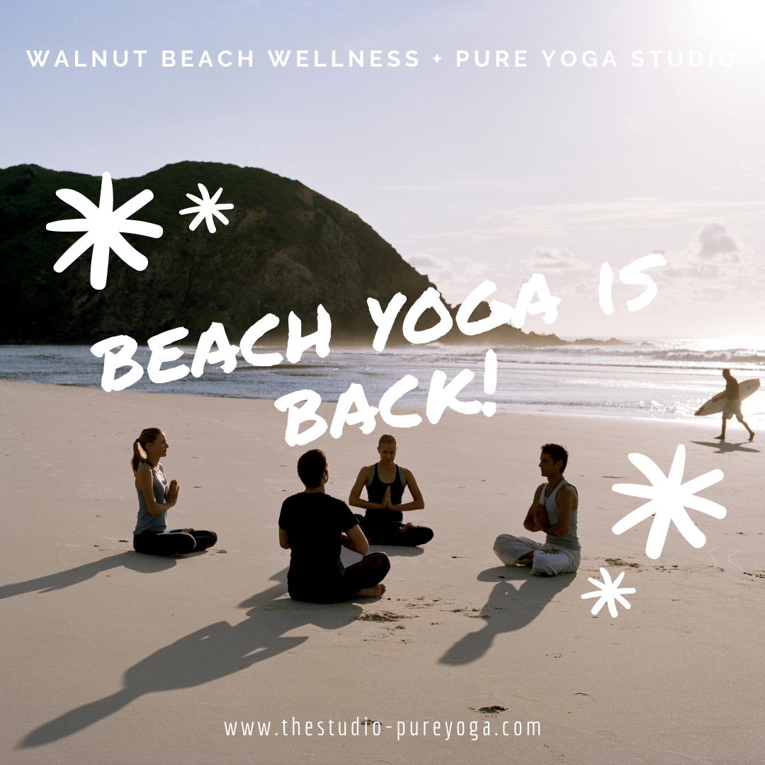 Classes & Workshops - Walnut Beach Wellness Center